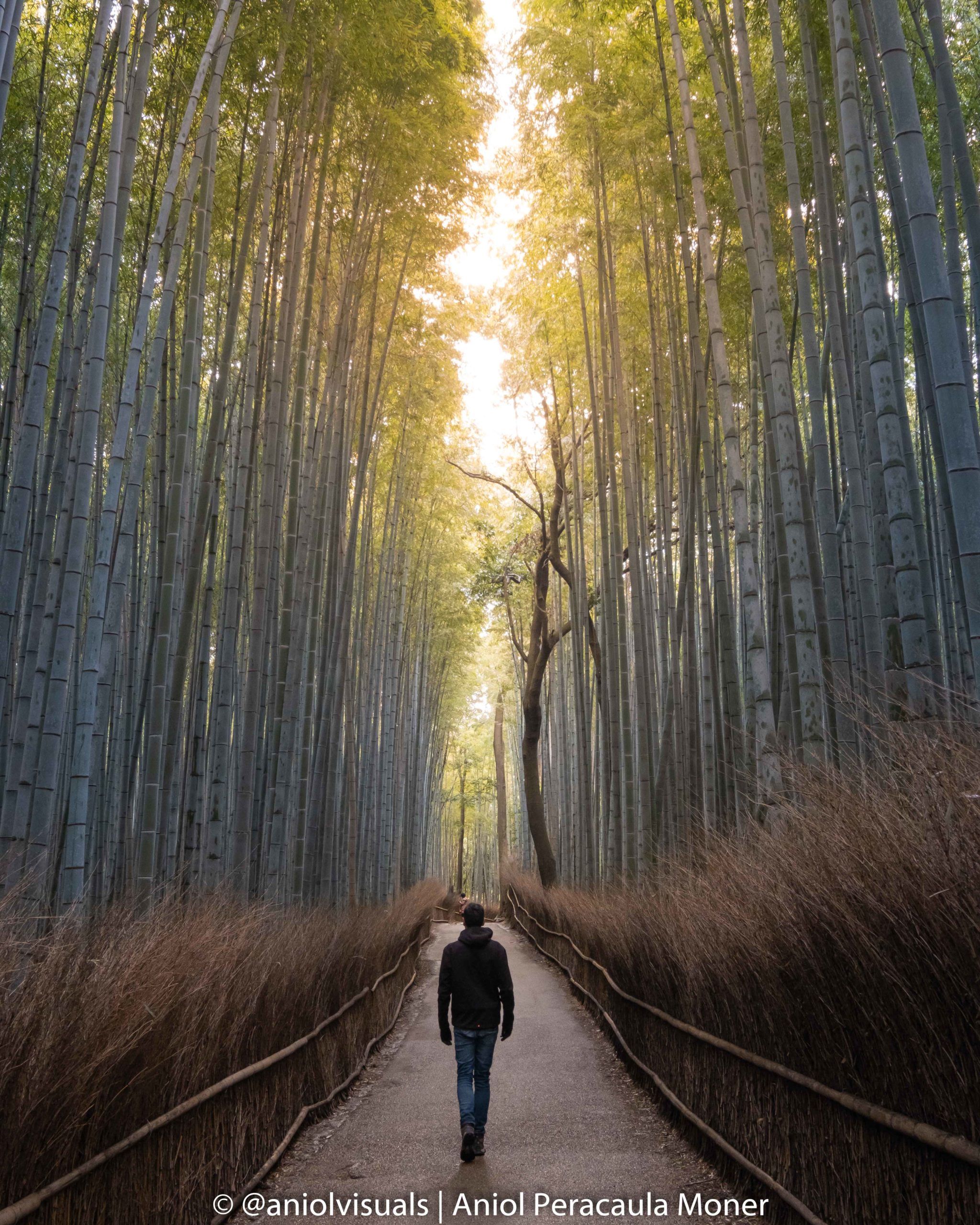 What are the top Kyoto photography spots for Instagram? - AniolVisuals
